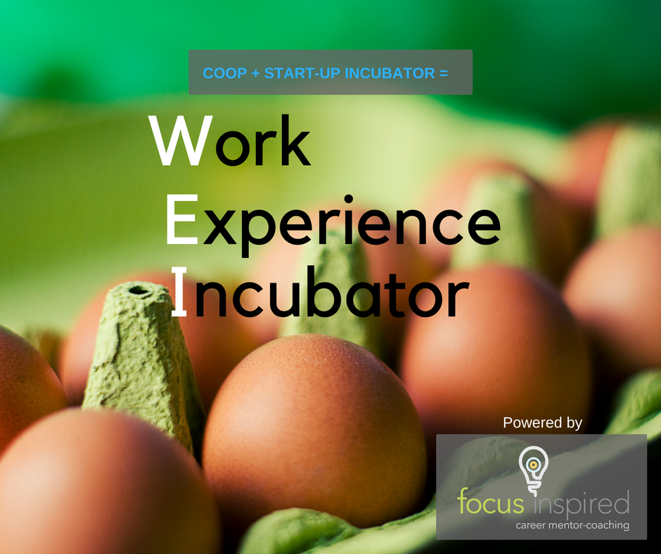 Work Experience Incubator – FOCUS inspired – career coach for jobs ...